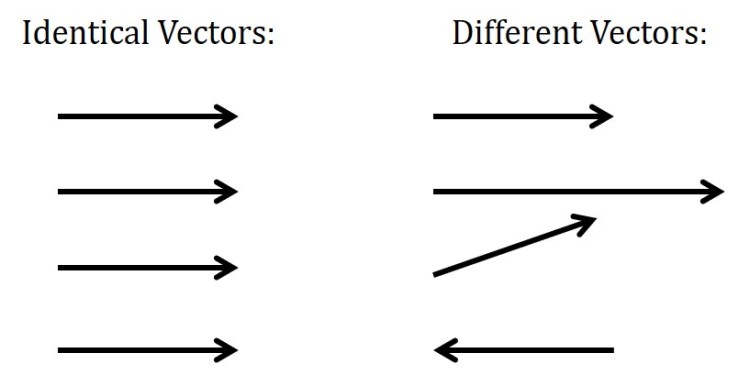 Drawing Position and Velocity Vectors – Scarcely Odd