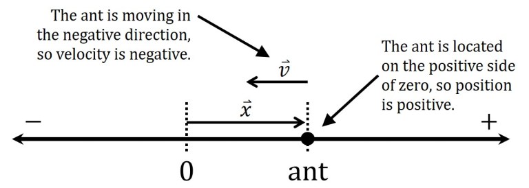 Drawing Position and Velocity Vectors – Scarcely Odd